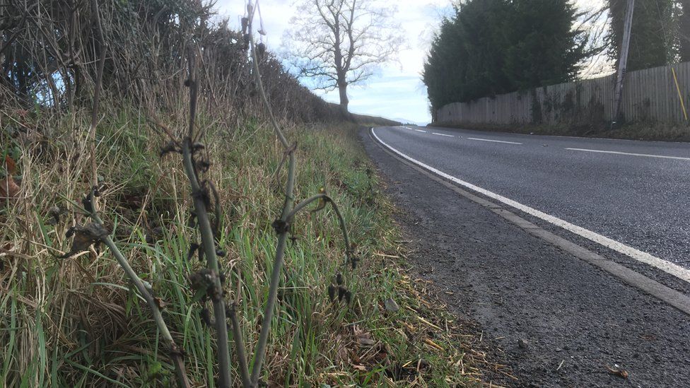 Rhaid gwella llwybr Llanfair DC 'cyn i rywun gael ei ladd' - BBC Cymru Fyw