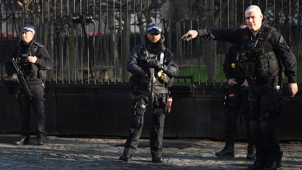 Parliament 'trespasser' held under Mental Health Act - BBC News