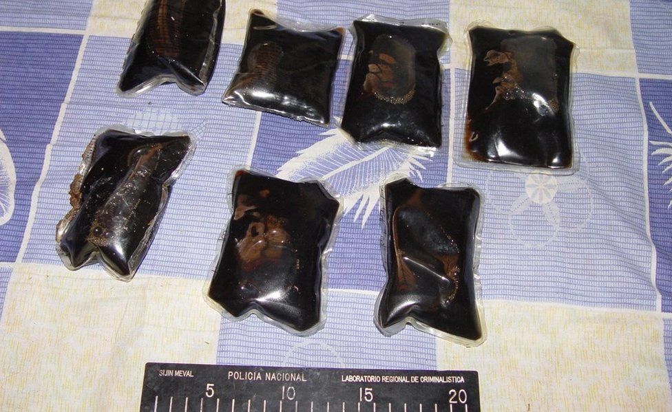 Veterinarian jailed for smuggling drugs in puppies - BBC News