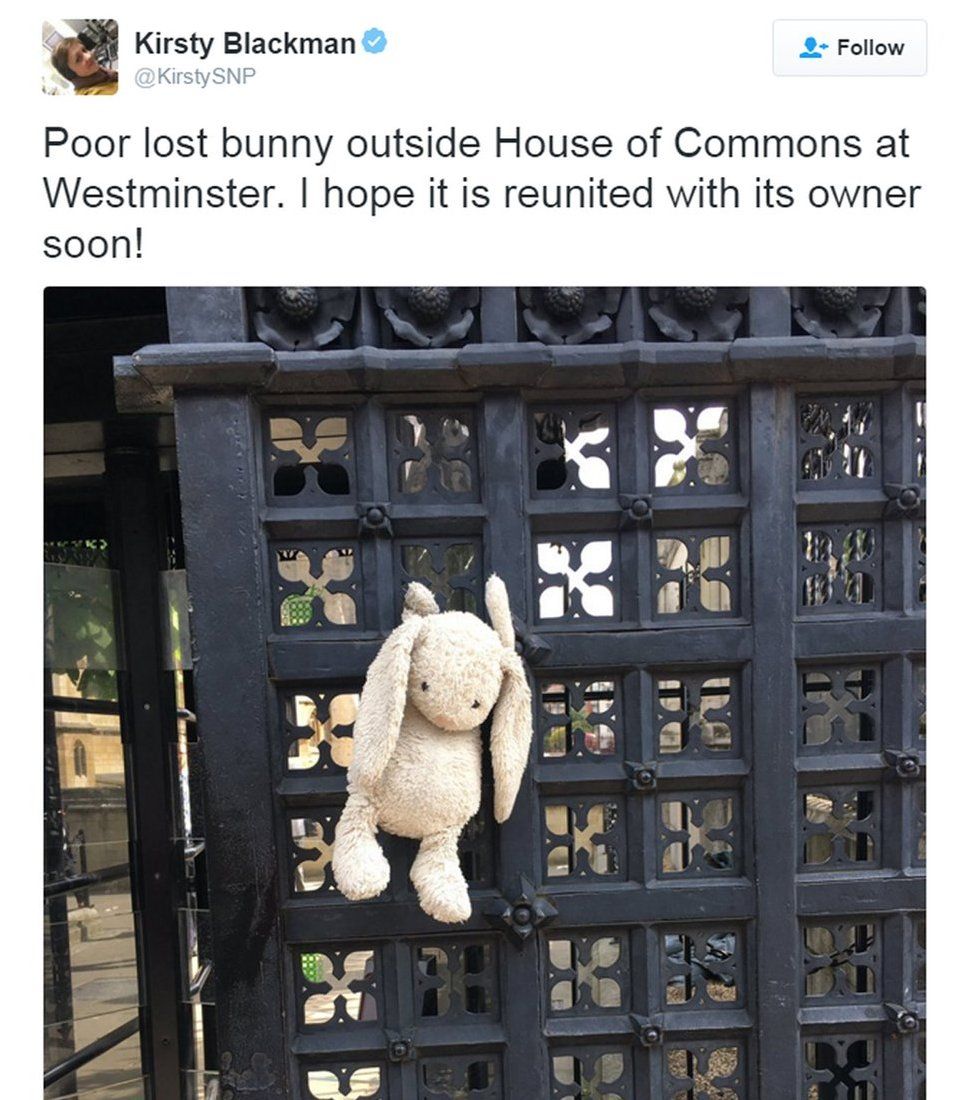 MP Kirsty Blackman reunites lost bunny with six-year-old owner - BBC News