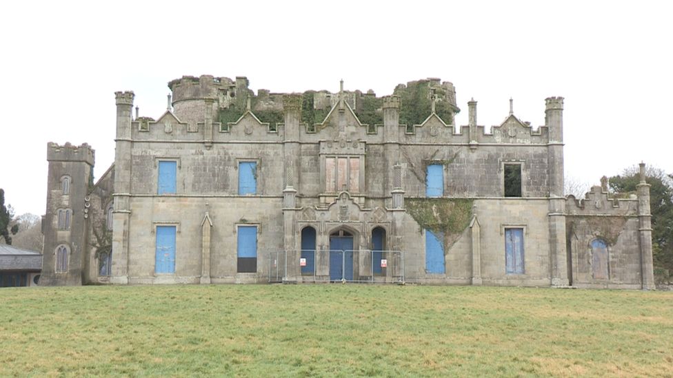 Necarne Estate: Irvinestown site to be leased to development firm - BBC ...