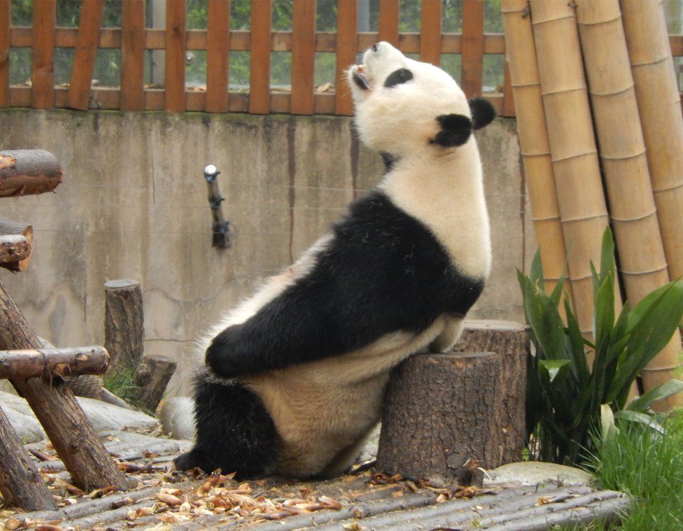 Your pictures on the theme of 'relaxing' - BBC News