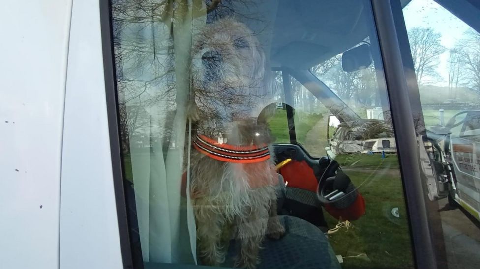 Dog locks owners out of motorhome in Castle Douglas - BBC News