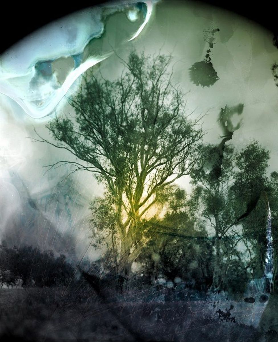 Londoners recognised in World Press Photo contest - BBC News