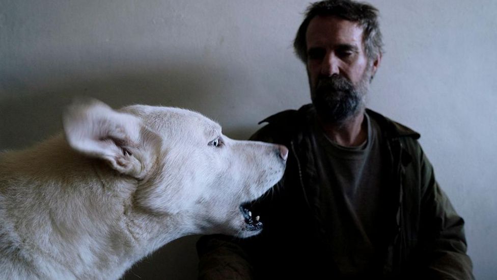 Photography: How Nik Roche captures life on margins of society - BBC News