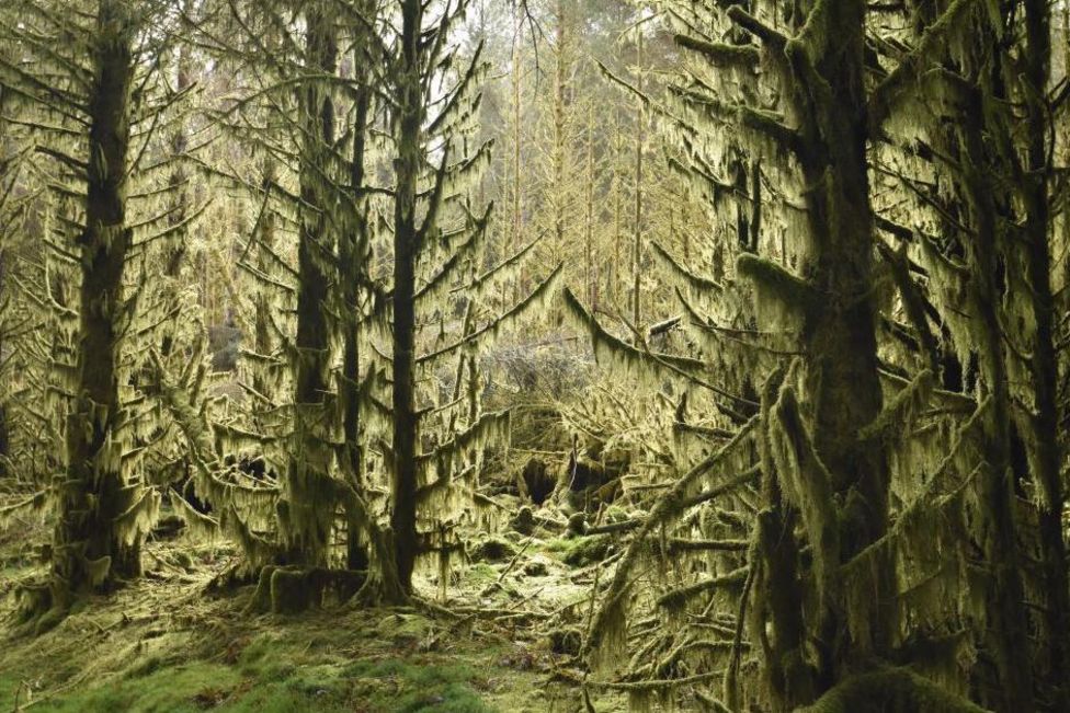 Your pictures of Scotland: Photographs from around the country - BBC News