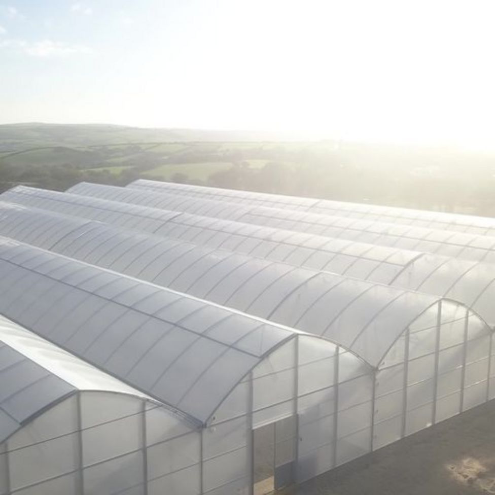 Eden Project launches deep geothermal heating system - BBC News