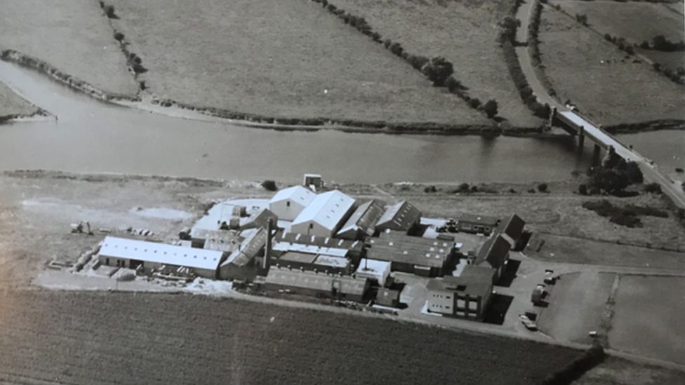 Ballymoney: Plans for a new £75m pork processing plant - BBC News