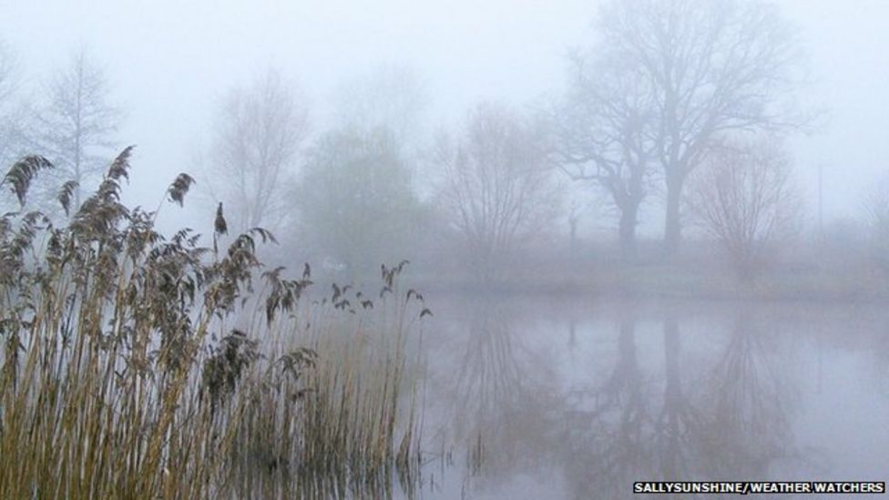 Gallery: One foggy Tuesday morning - BBC Weather