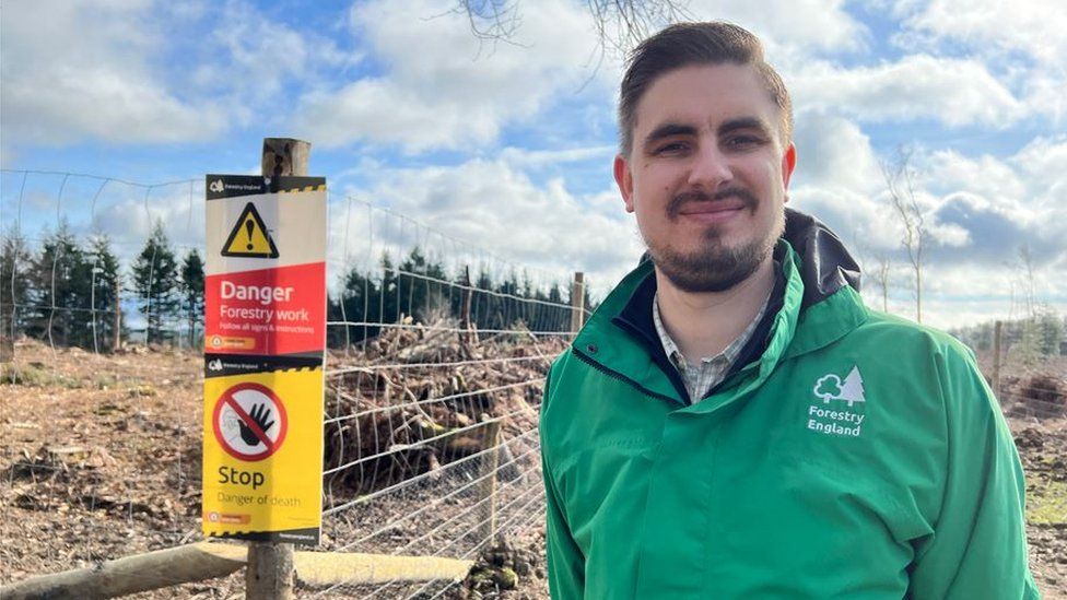 Phytophthora Ramorum: Thousands of Forest of Dean trees felled - BBC News