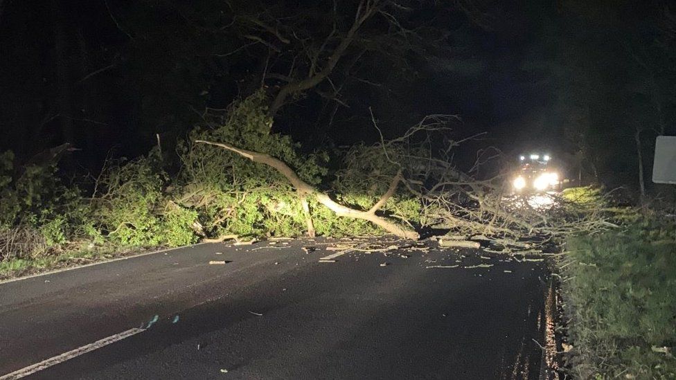 Storm Dudley: Trees down and rail disruption in the East of England ...