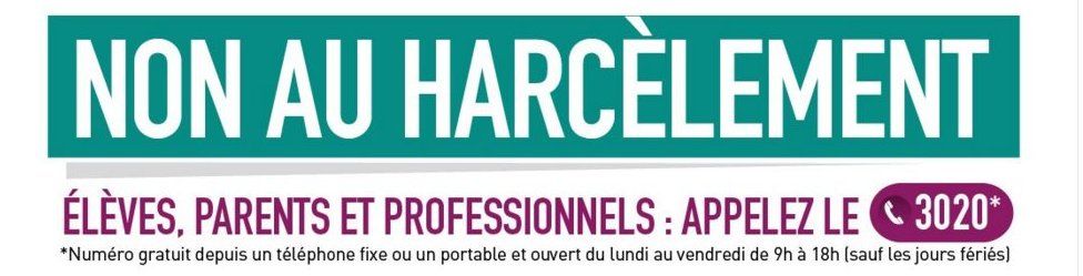 French school bullying deaths stir intense debate - BBC News