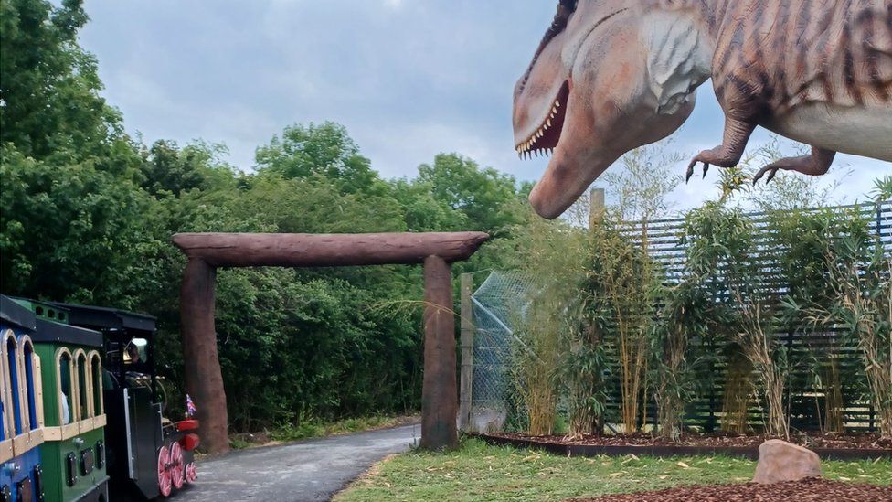 Driver sought for Hamerton Zoo dinosaur park train - BBC News