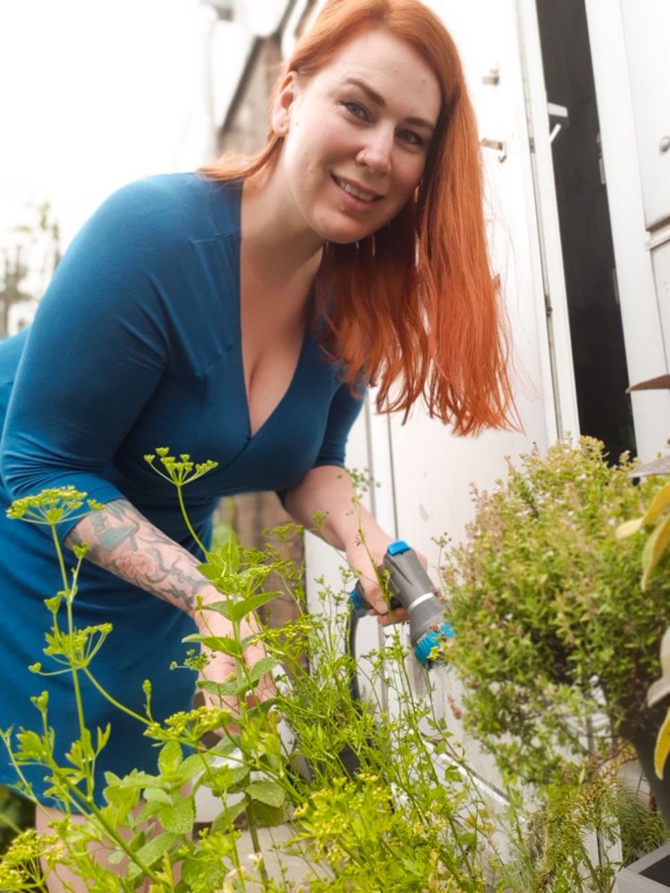 Coronavirus: How did your lockdown container garden grow? - BBC News