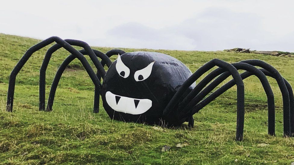 Your pictures of Scotland 30 October - 6 November - BBC News