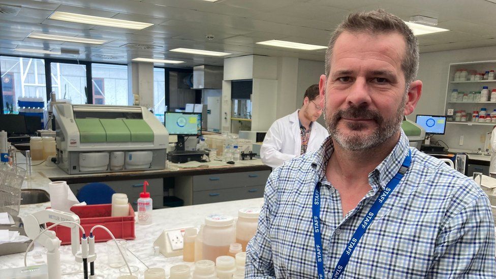 How do you solve the Lough Neagh blue-green algae problem? - BBC News