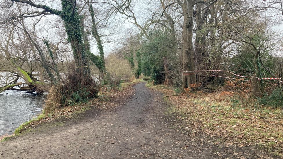 Poynton Pool: Hundreds object to tree removal plans - BBC News