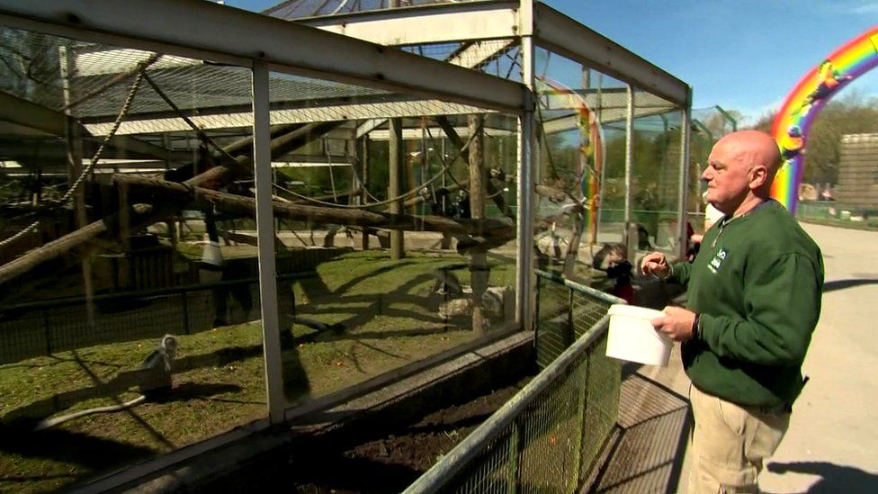 Blackpool Zoo keeper retires after nearly half a century - BBC News