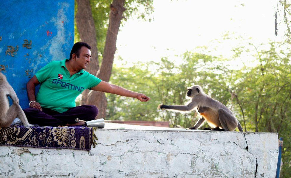 Your pictures: Conversation - BBC News