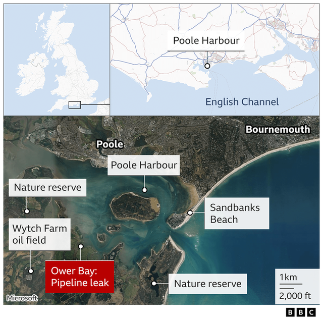 Probe into Poole Harbour oil spill continues seven months on - BBC News
