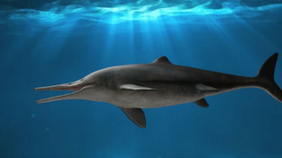 Ichthyosaur: Scientists discover huge ancient marine reptile tooth in ...
