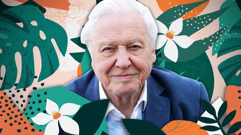 Sir David Attenborough joins Hey Duggee for special episode - BBC Newsround