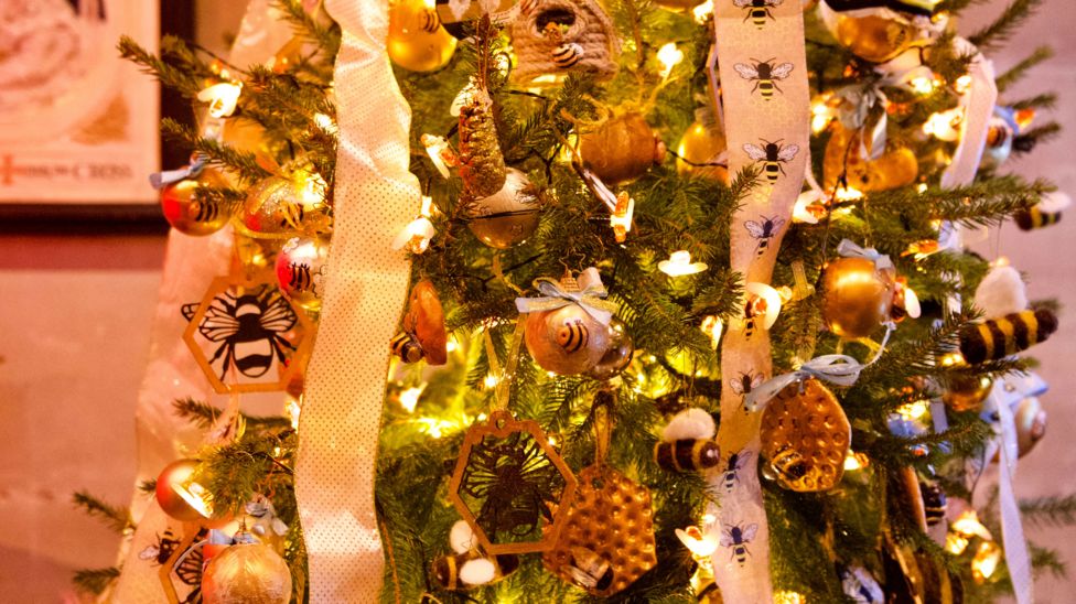 Royal Leamington Spa Christmas Tree Festival sparks into life - BBC News