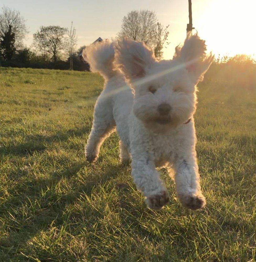 England's Big Picture: 18 - 24 May - BBC News