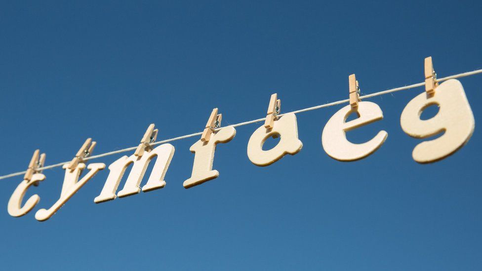 Pryder am nifer y siaradwyr Cymraeg yng Ngheredigion - BBC Cymru Fyw