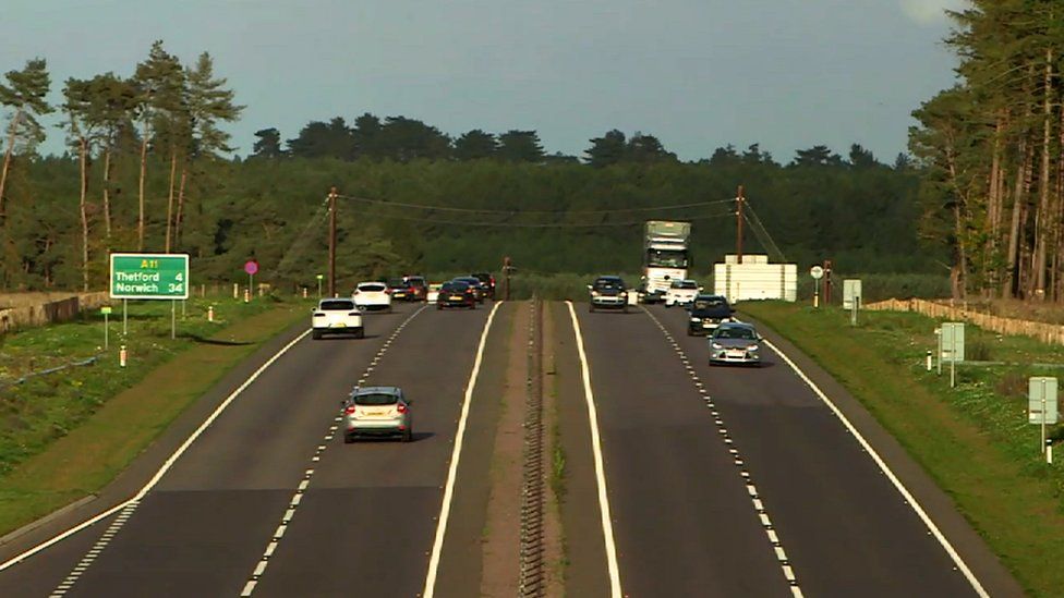 Bats reject 'safe way' bridges over Norfolk - Suffolk dual carriageway ...