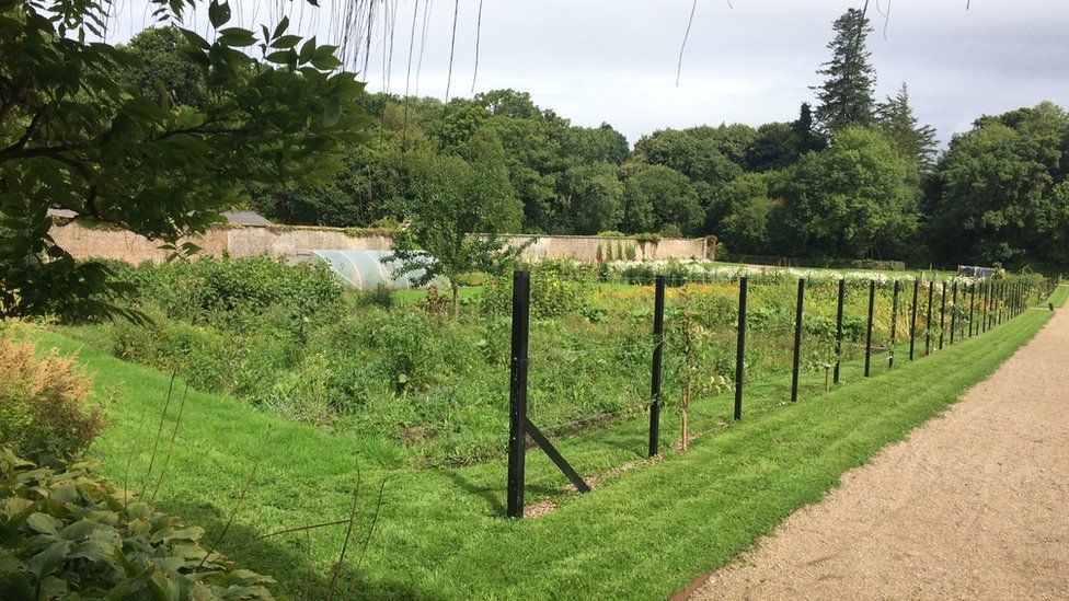 Florencecourt Victorian kitchen garden revived - BBC News