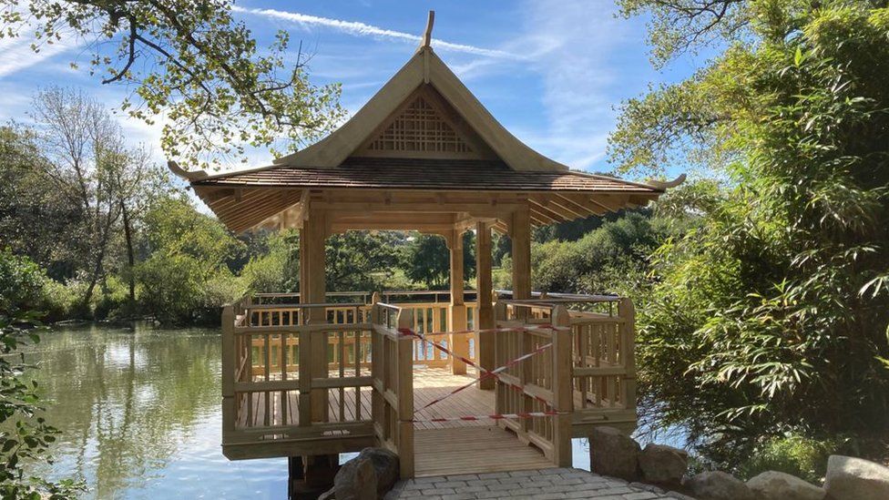 Guernsey Saumarez Park pond refilled as dry spell leads to dead fish ...