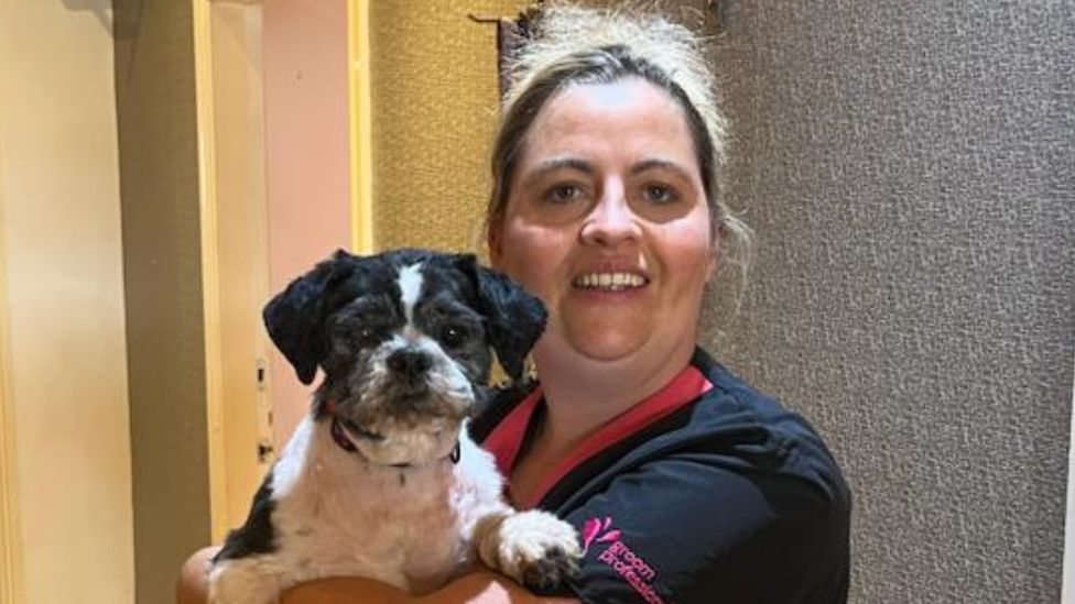 Thousands raised for Darlington dog dumped in Dudley - BBC News