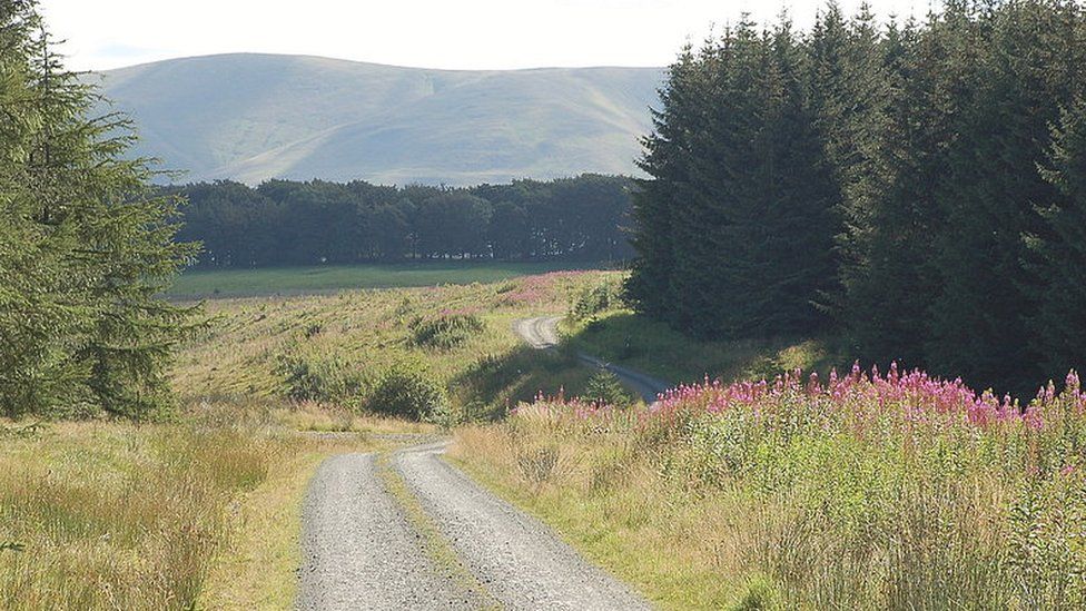 Peebles forest wind farm cuts turbine total - BBC News