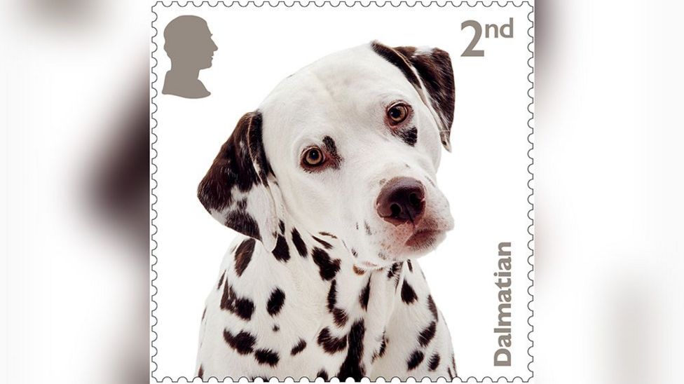 Royal Mail stamps show off UK's favourite dogs - BBC Newsround