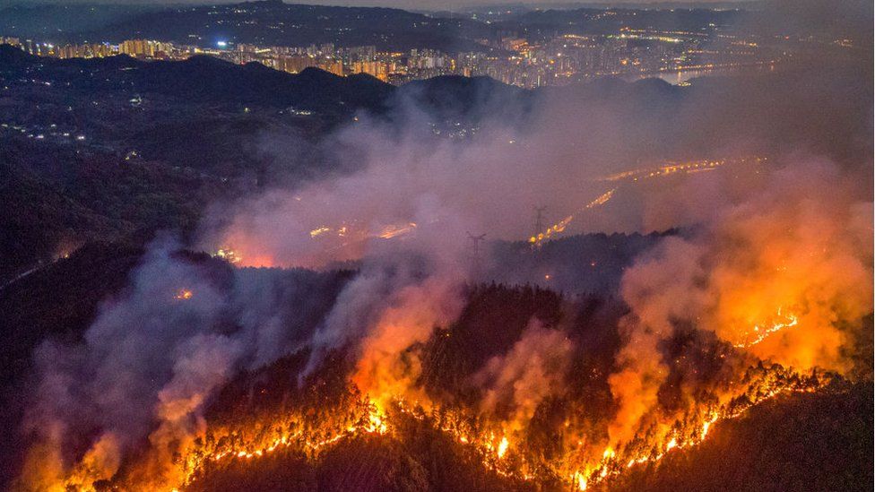 Heatwave: The impact of China's worst drought on record - BBC Newsround