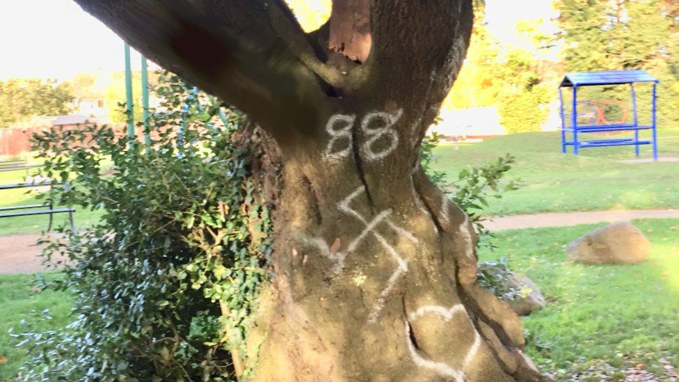 Swastika and racist symbols sprayed on Woodstock tree - BBC News