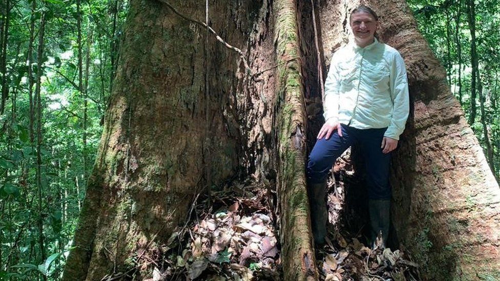 Swansea scientist helps protect Amazon's tallest trees - BBC News