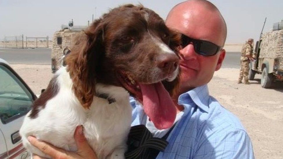 Trelogan animal rescue opens 'old folks' home' for dogs - BBC News