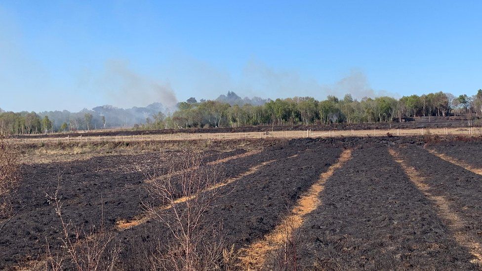 Fire crews tackle large gorse fire in County Tyrone - BBC News