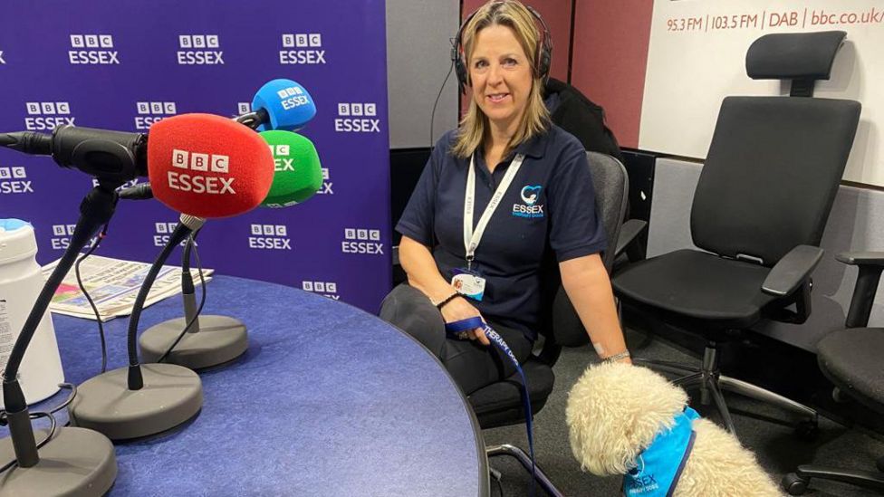 Essex Therapy Dogs wants to help children read in libraries - BBC News
