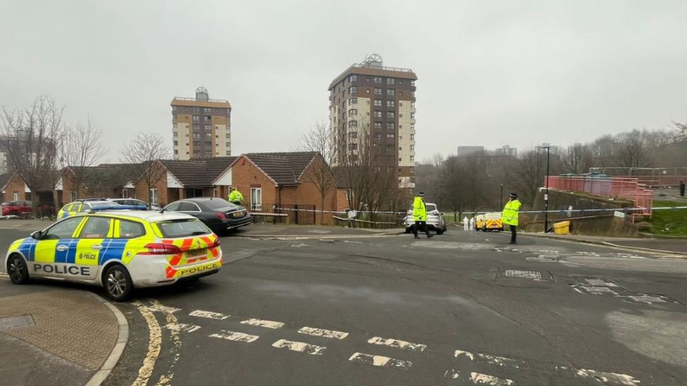 Sheffield: Murder probe after man, 24, dies in park - BBC News