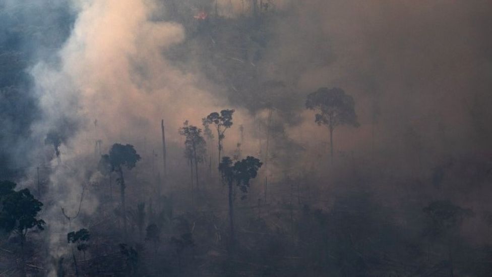 Fires in Pantanal, world's largest tropical wetlands, 'triple' in 2020 ...
