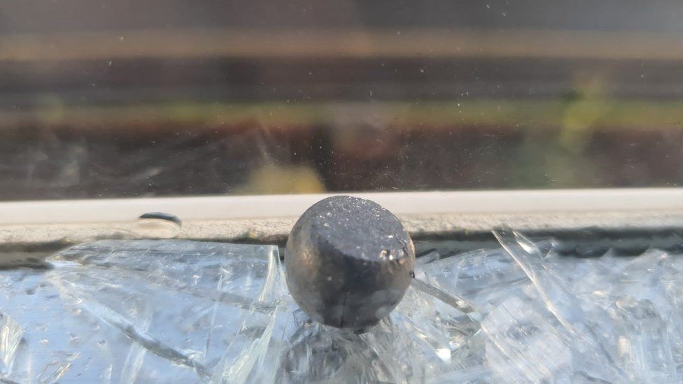 Poole family traumatised after pellet smashes window - BBC News