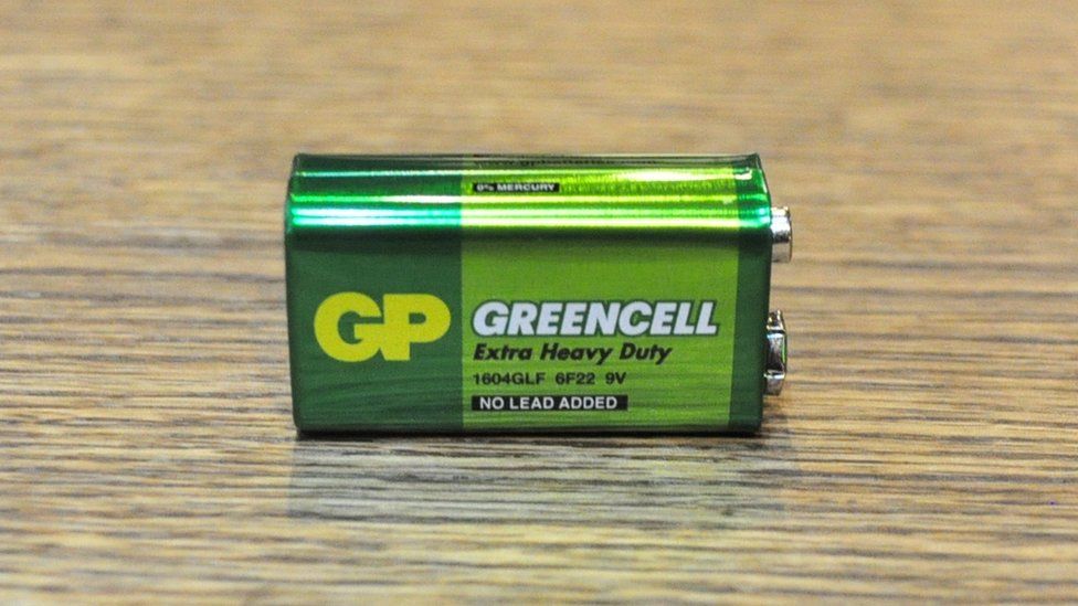 Turnip Prize 2021: 'Panda Mick' wins spoof art award - BBC News