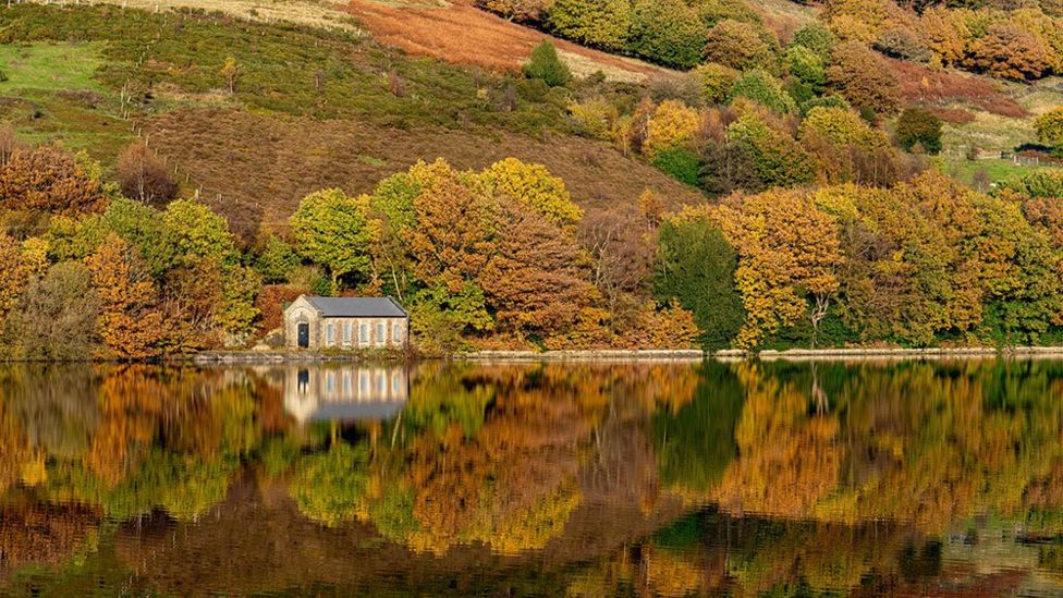 Your pictures on the theme of autumn colours - BBC News