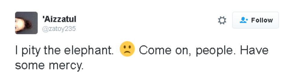 Cambodia tourism: Call to end rides after elephant's death - BBC News