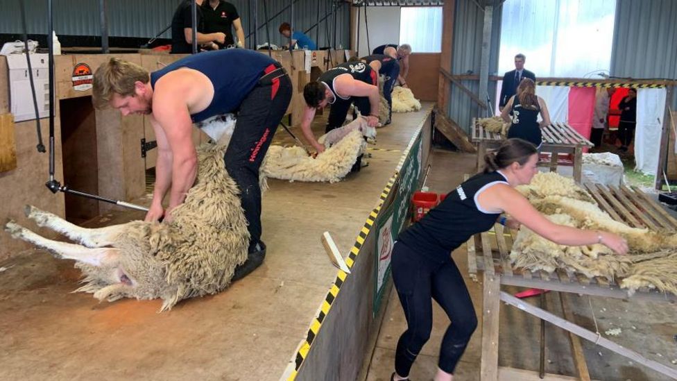 Black Isle Show held as farming costs 'through the roof' - BBC News