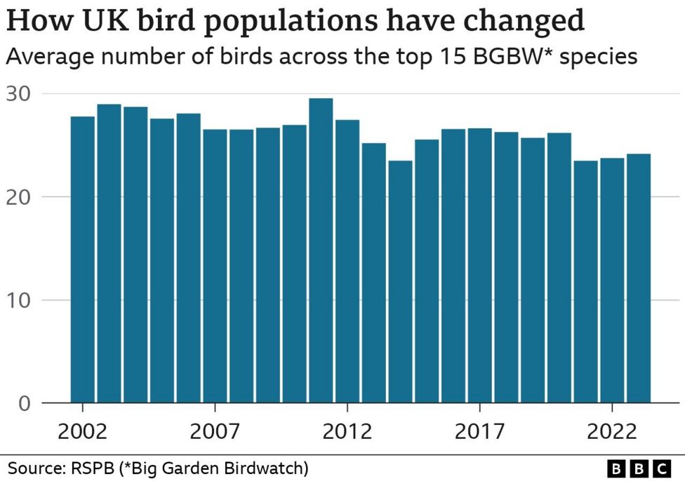 RSPB Garden Birdwatch 2024: Fewer wild birds visiting UK gardens - BBC News