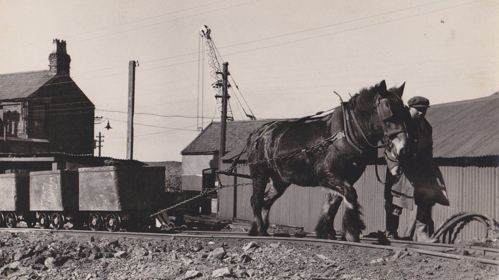 Pit pony sculpture unveiled at Point of Ayr colliery site - BBC News